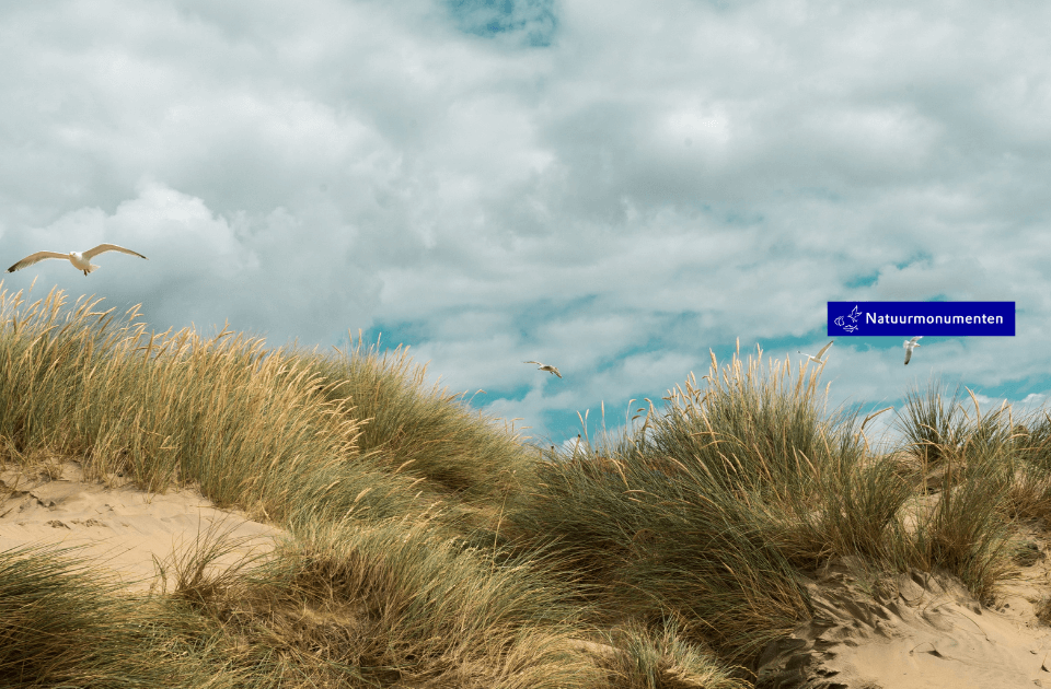 Arval en Natuurmonumenten: een gezamenlijke missie | Leasemaatschappij ...